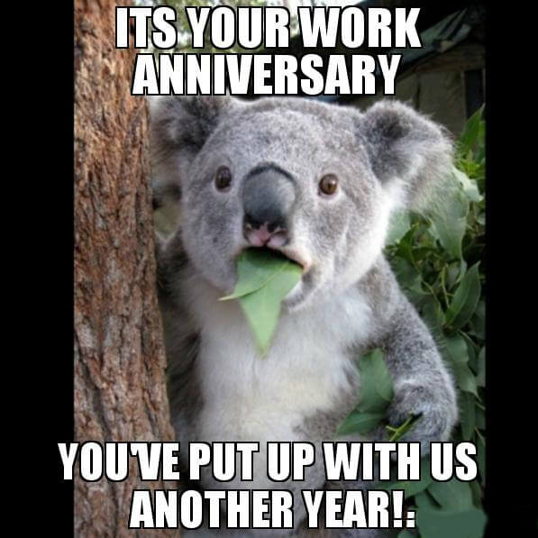 Work Anniversary Memes Funny 40 Happy Work Anniversary Images Quotes 